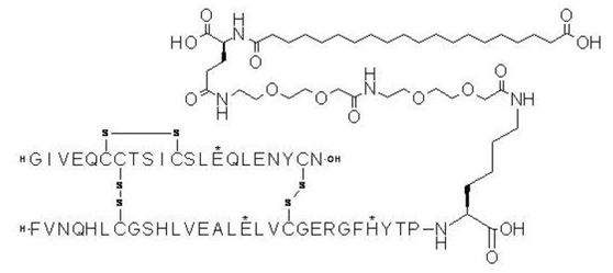 超长胰岛素来啦--胰岛素Icodec - 成都普康生物科技有限公司